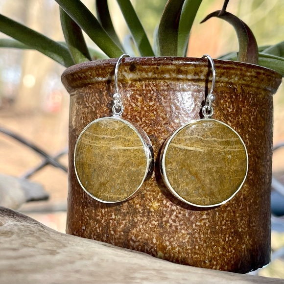 Jewelry | Rare Find Natural Palm Root Fossil Large Round Earrings ...